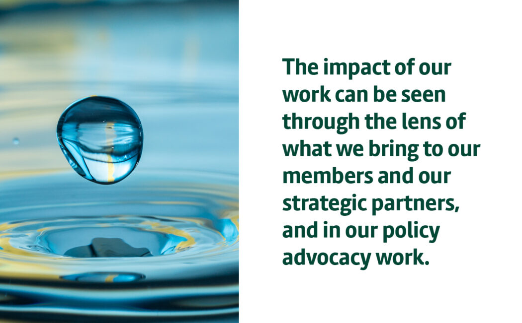 Impact | Financial Alliance for Women