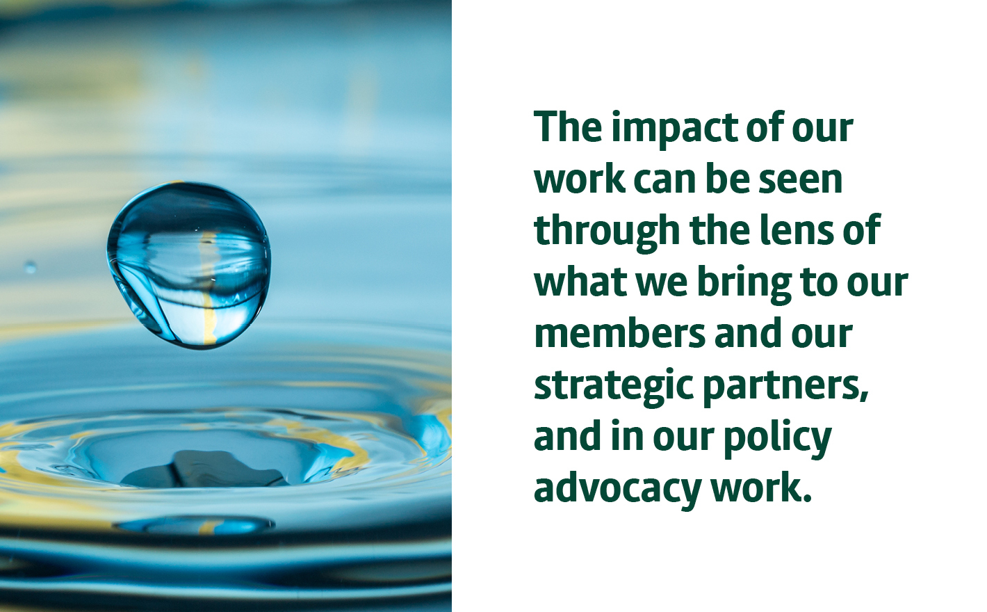 Impact | Financial Alliance for Women